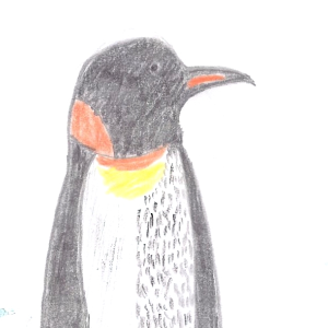 Skuik & Nounours - Comics en lecture gratuite - BD, mangas, webtoons et ...